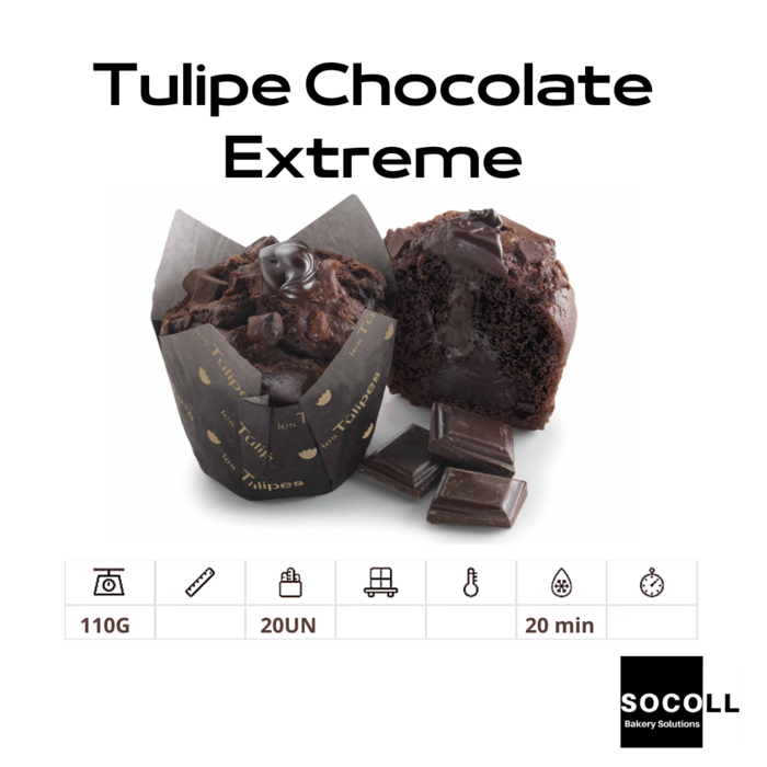 Tulipe Chocolate Extreme :: www.socoll.cl